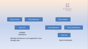 Java Inheritance - Ksamyatam Softwares